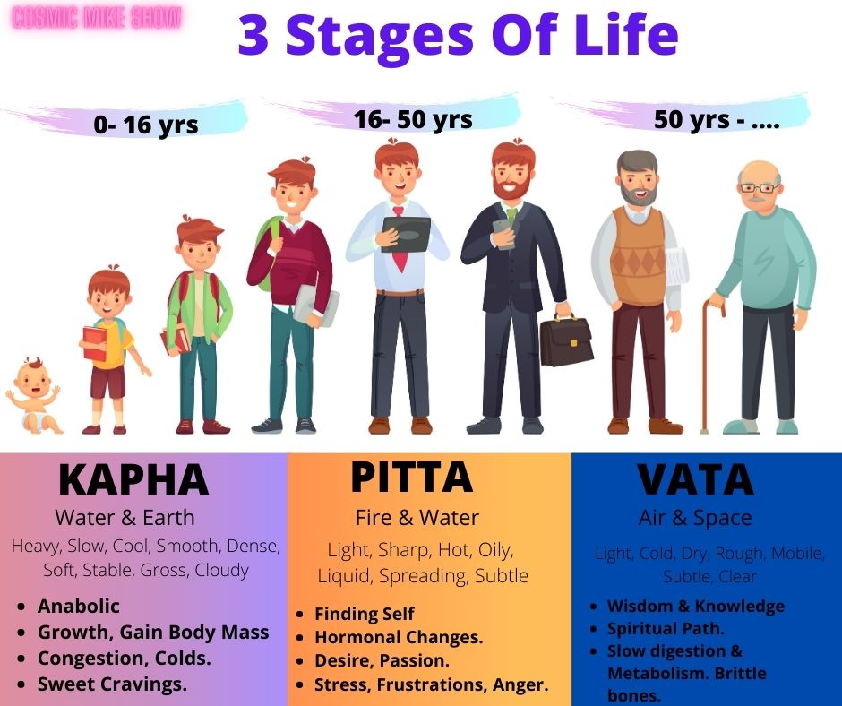 Human Life Cycle Stages Of Human Life Cycle Science