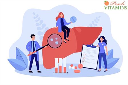 Gallbladder Stone Treatment In Ayurveda - Ancient Therapy Guide | 2022